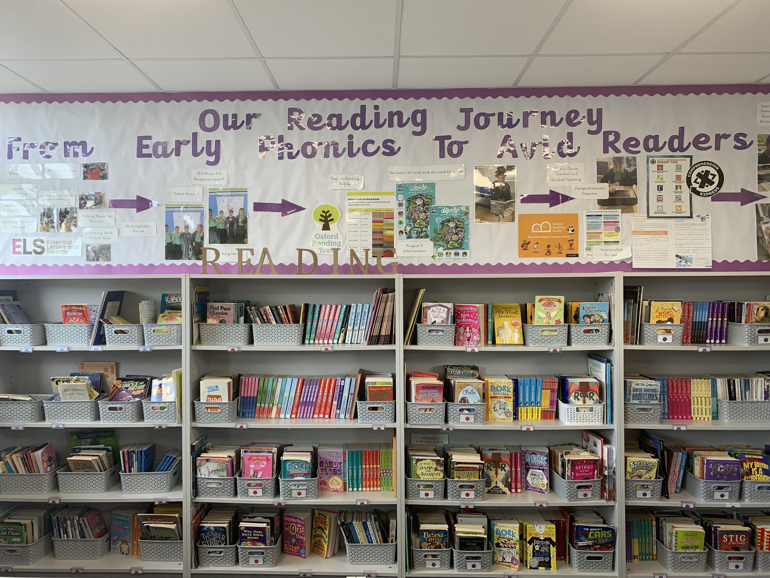 Reading - The Ferns Primary Academy
